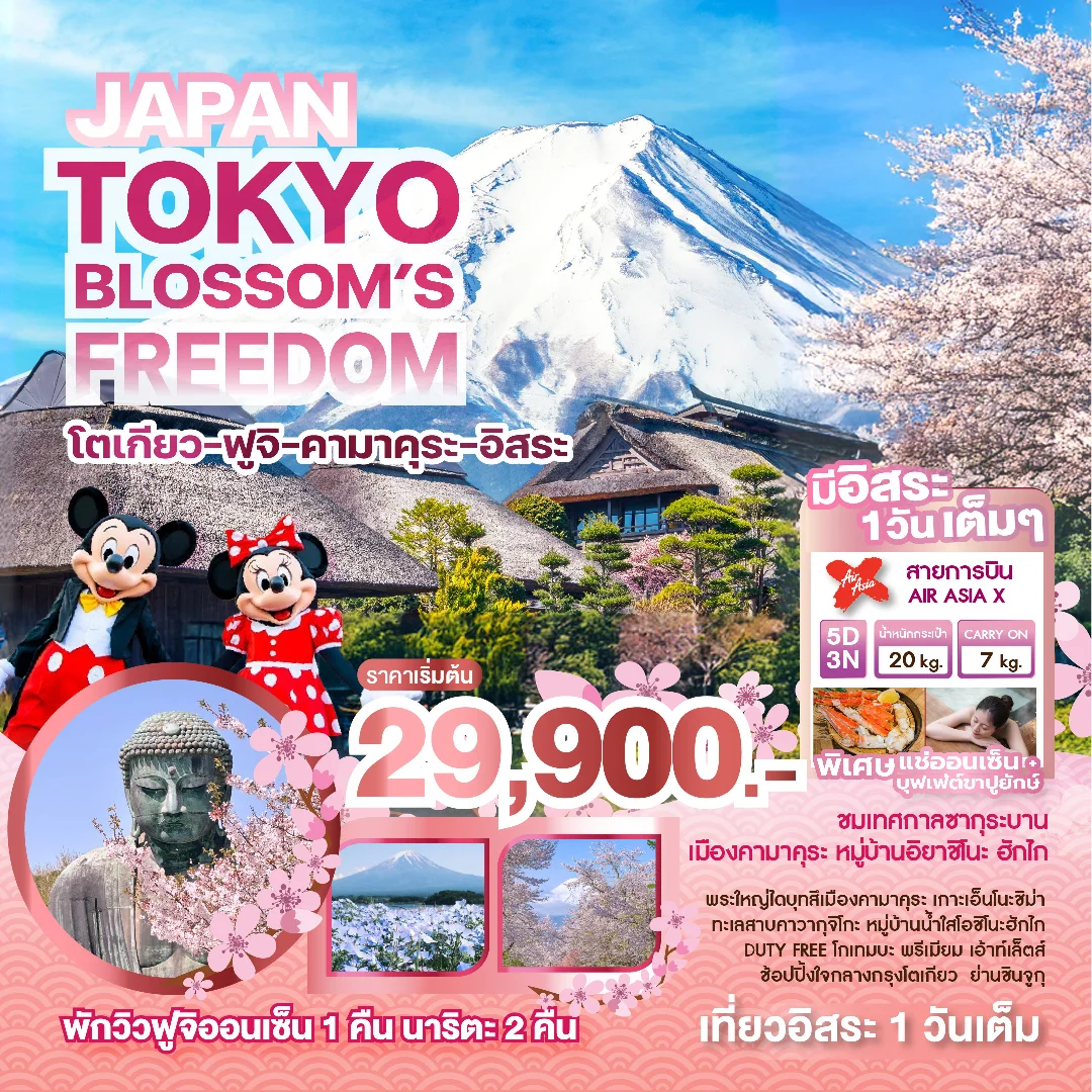 ทัวร์ญี่ปุ่น JAPAN TOKYO BLOSSOM’S FREEDOM ชมซากุระบานสุดประทับใจ